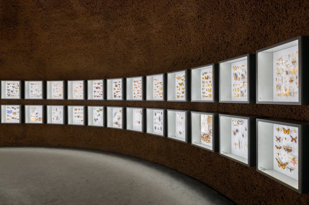 Guerlain Brand Bee Ambassador Charlotte Le Bon | LES FAÇONS