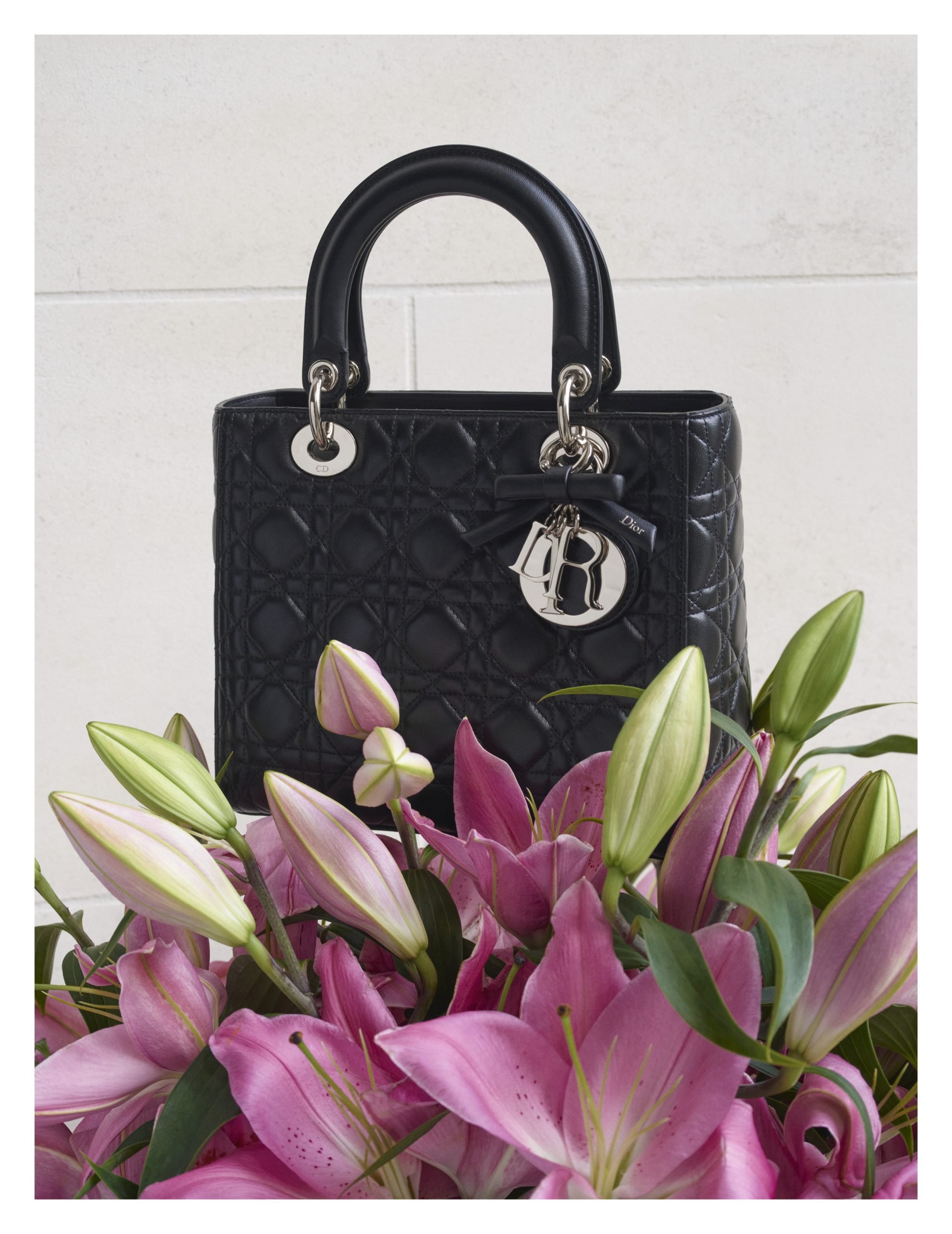 Christian Dior Lady Dior Spring 2026 Collection | LES FAÇONS